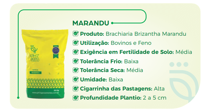 PH7 Agro — Sementes de alta performance